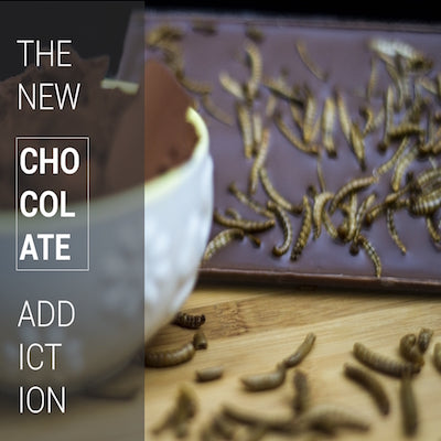 Wow: chocolate with insects! - 21bites